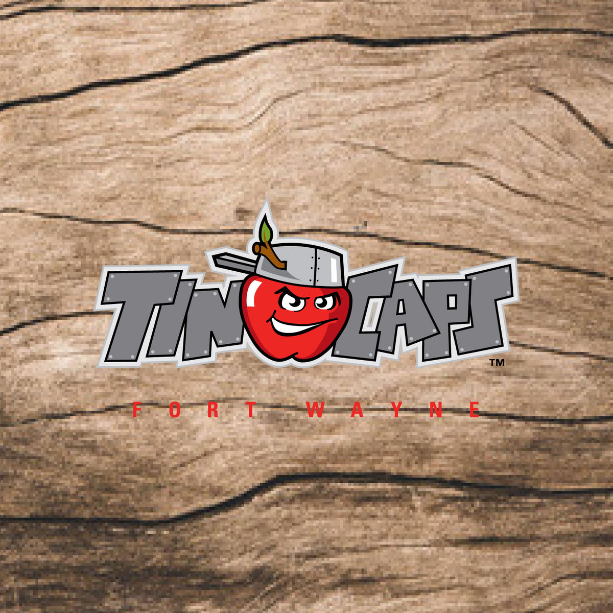 Fort Wayne Tin Caps – Coopersburg