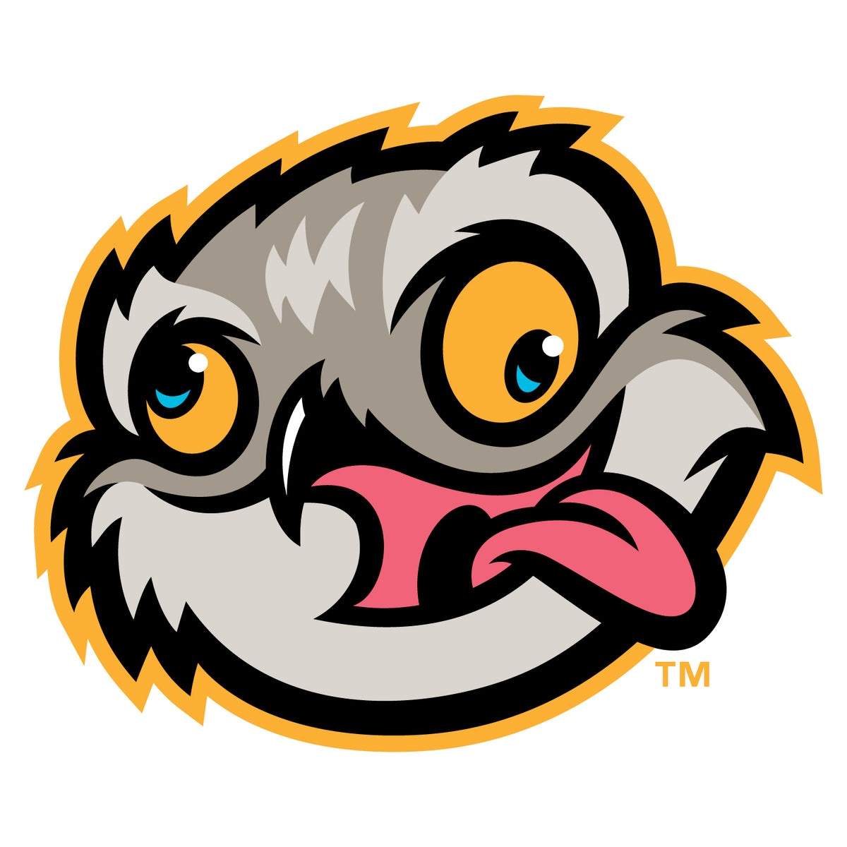 Lansing Locos – Coopersburg