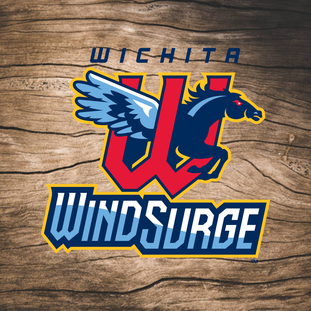 Wichita Wind Surge – Coopersburg