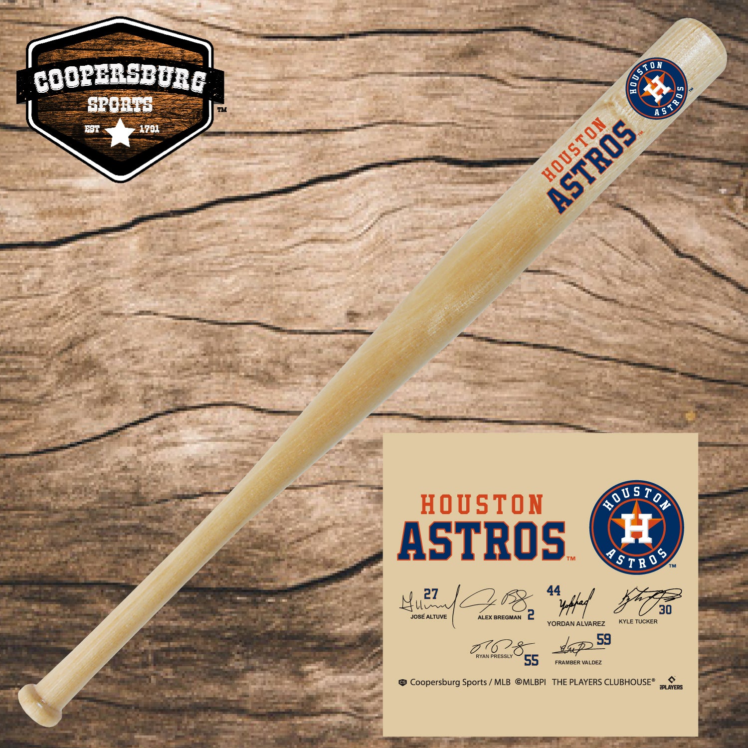 Houston Astros Team Signature 18" Miniature Bat – Coopersburg